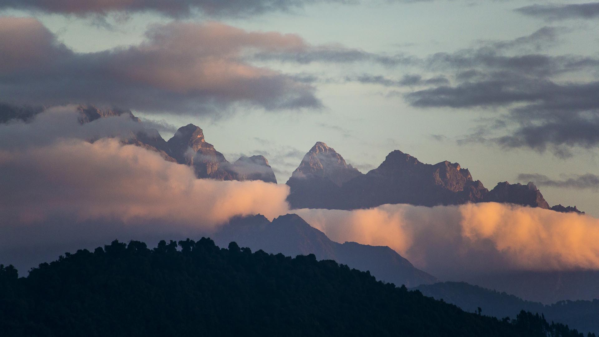 Home - Cathy Cooper Photography